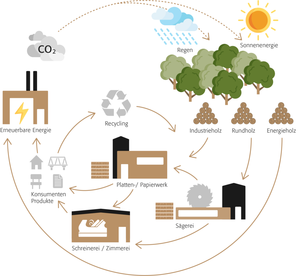 Einheimischer Rohstoff | RegioHolz Schwyz